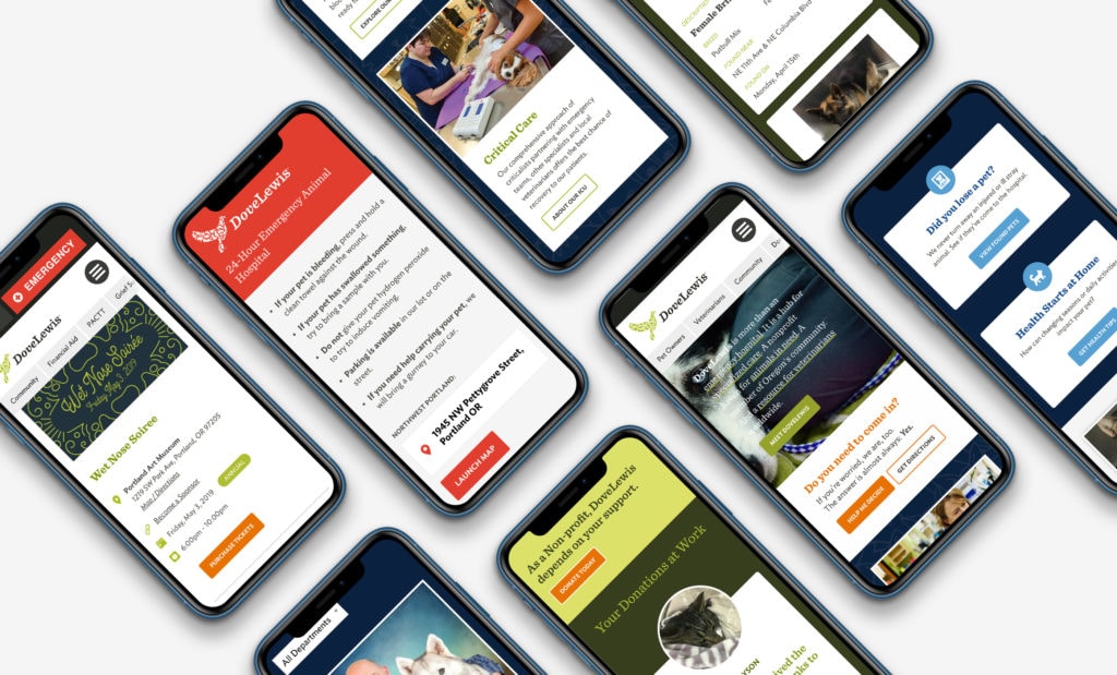 DoveLewis Rebranding Case Study - OVO