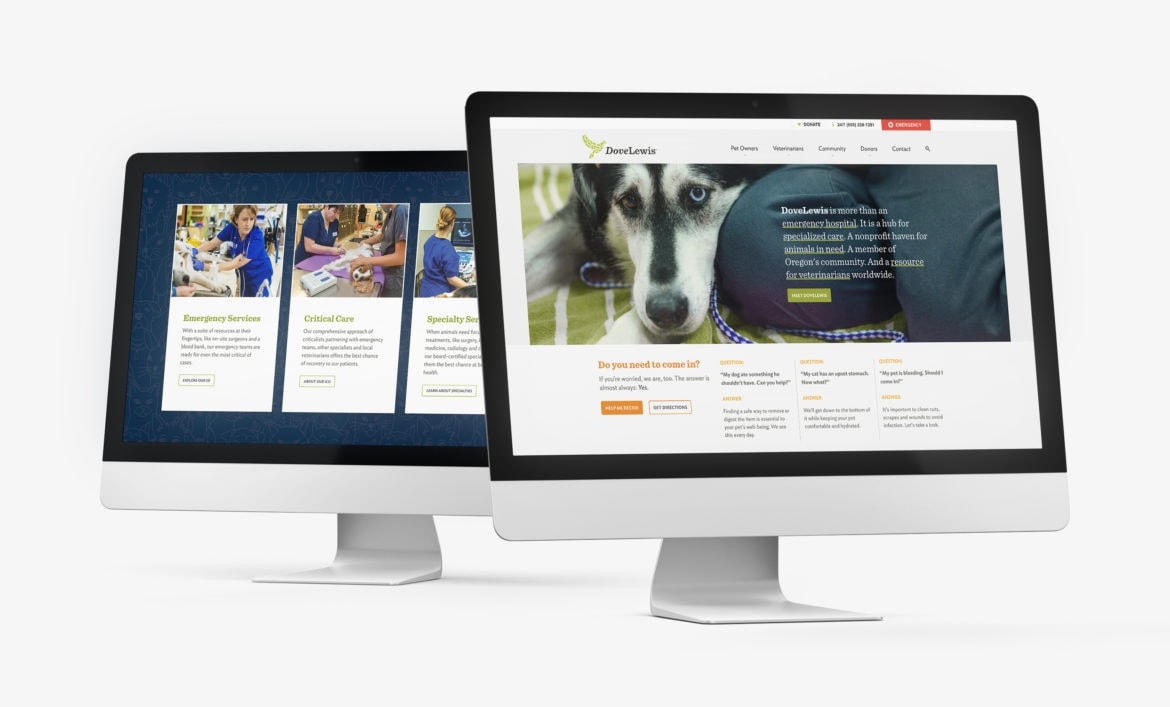 DoveLewis Rebranding Case Study - OVO