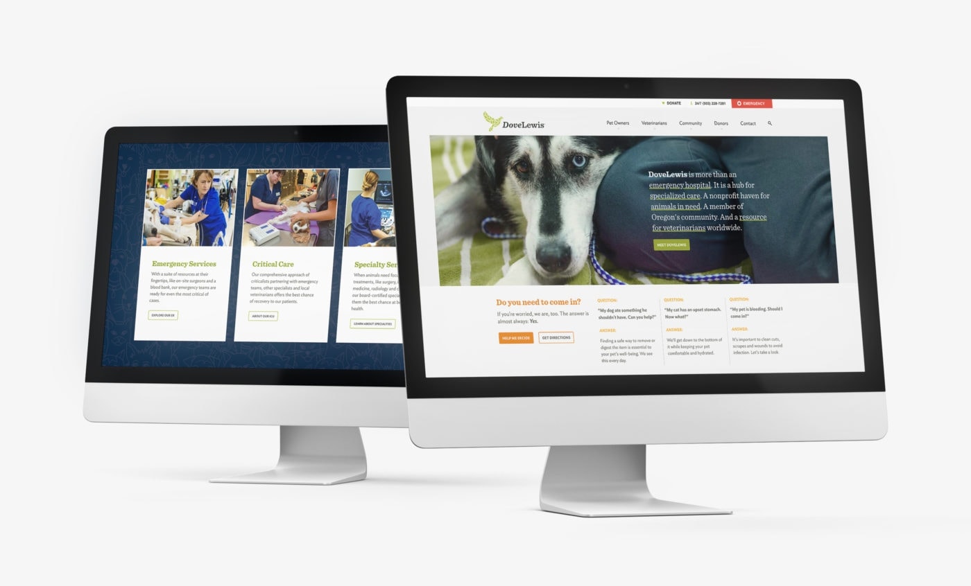 DoveLewis Rebranding Case Study - OVO