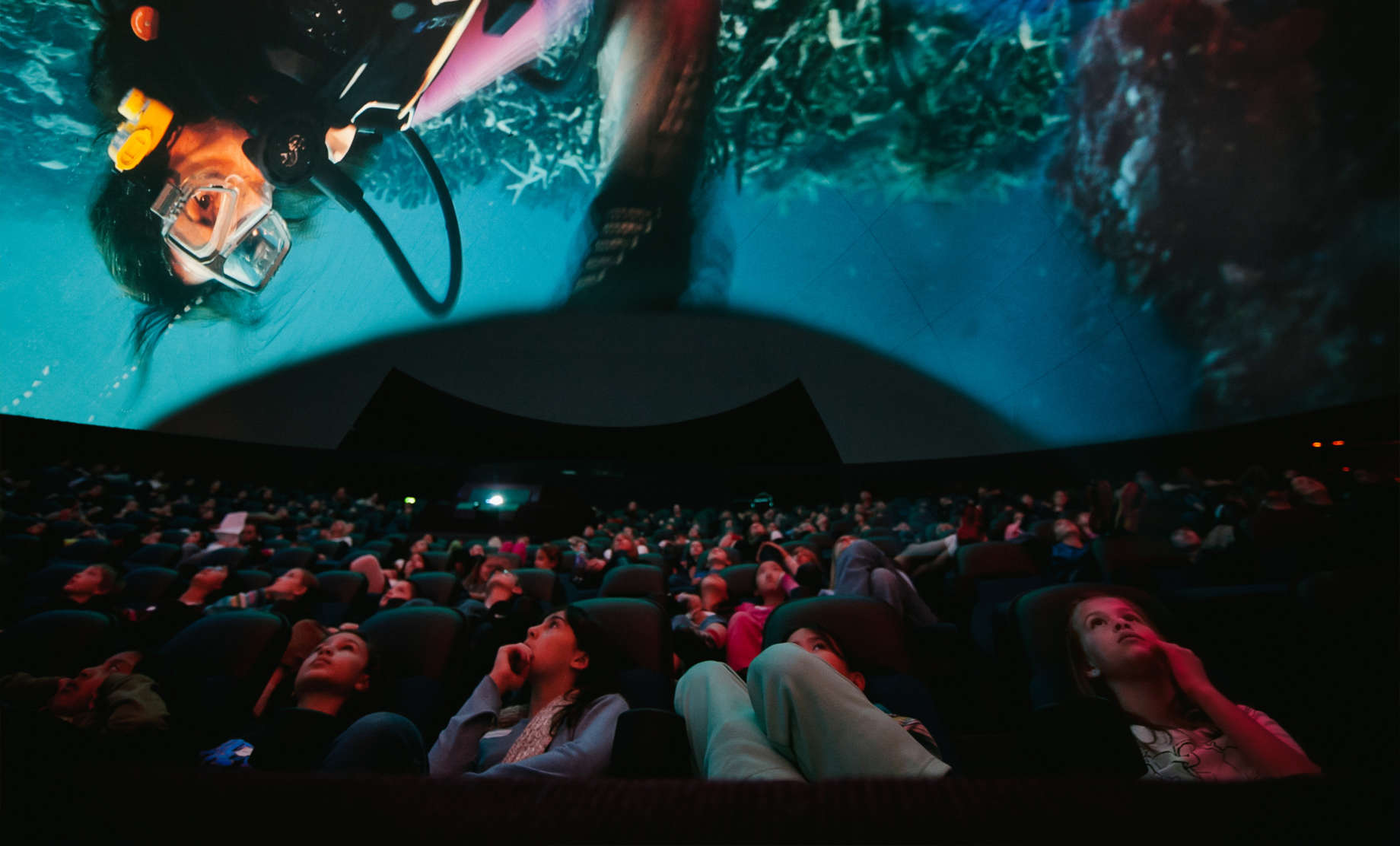 Oregon Museum of Science & Industry (OMSI) Branding - OVO