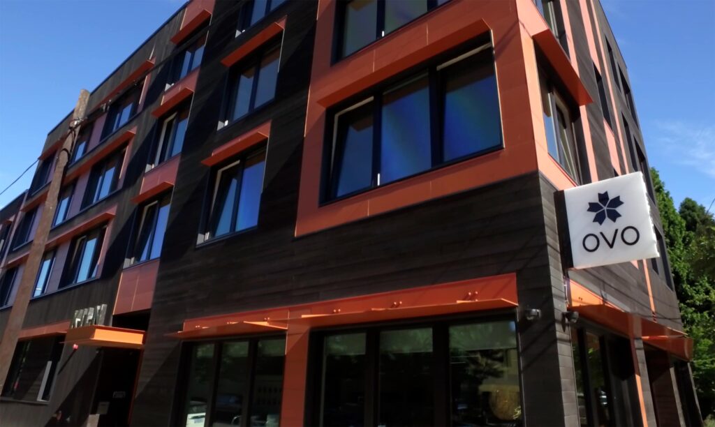 About - A Portland-based Branding Agency - OVO