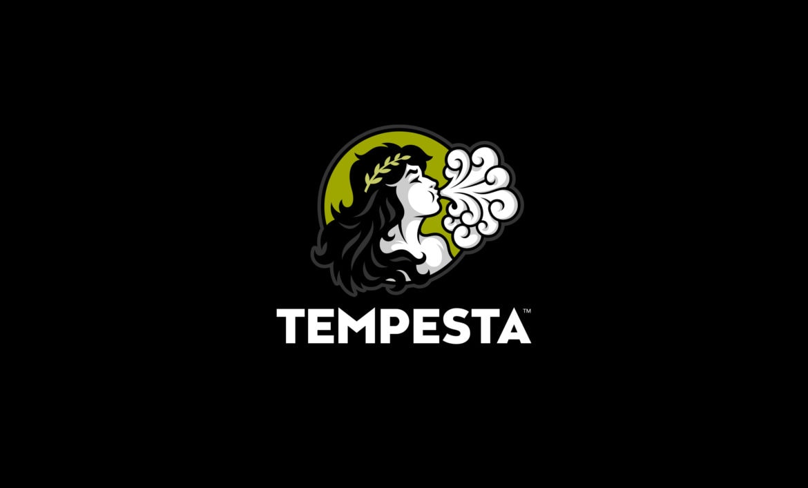 Tempesta Rebranding Case Study
