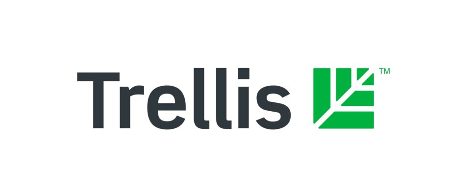 Trellis Rebranding Case Study